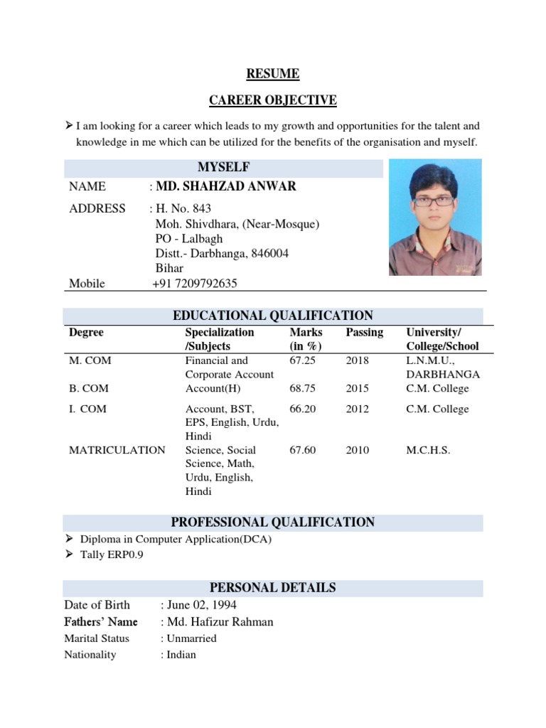 Resume Danish | PDF | Career & Growth