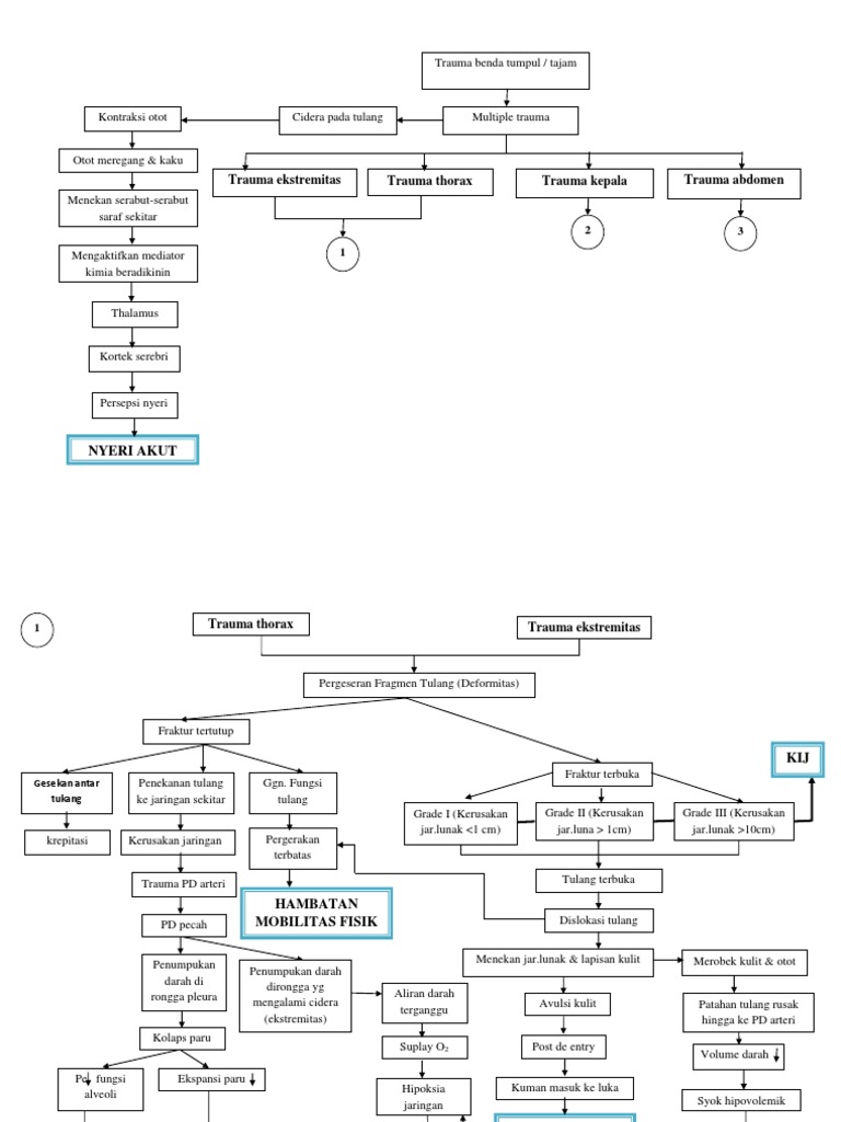 Revisi Pathway UMUM Multiple Trauma 1 | PDF