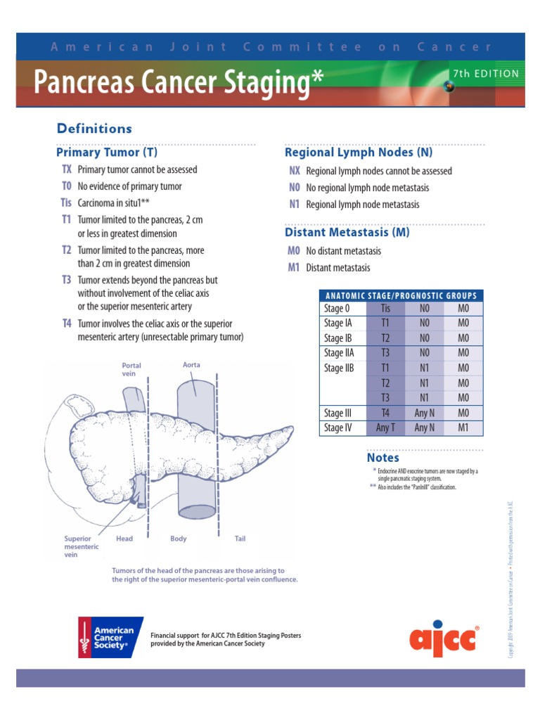 Pancreatic Cancer Staging | PDF | Pancreas | Pancreatic Cancer