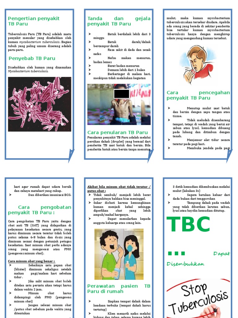Contoh Leaflet TBC | PDF