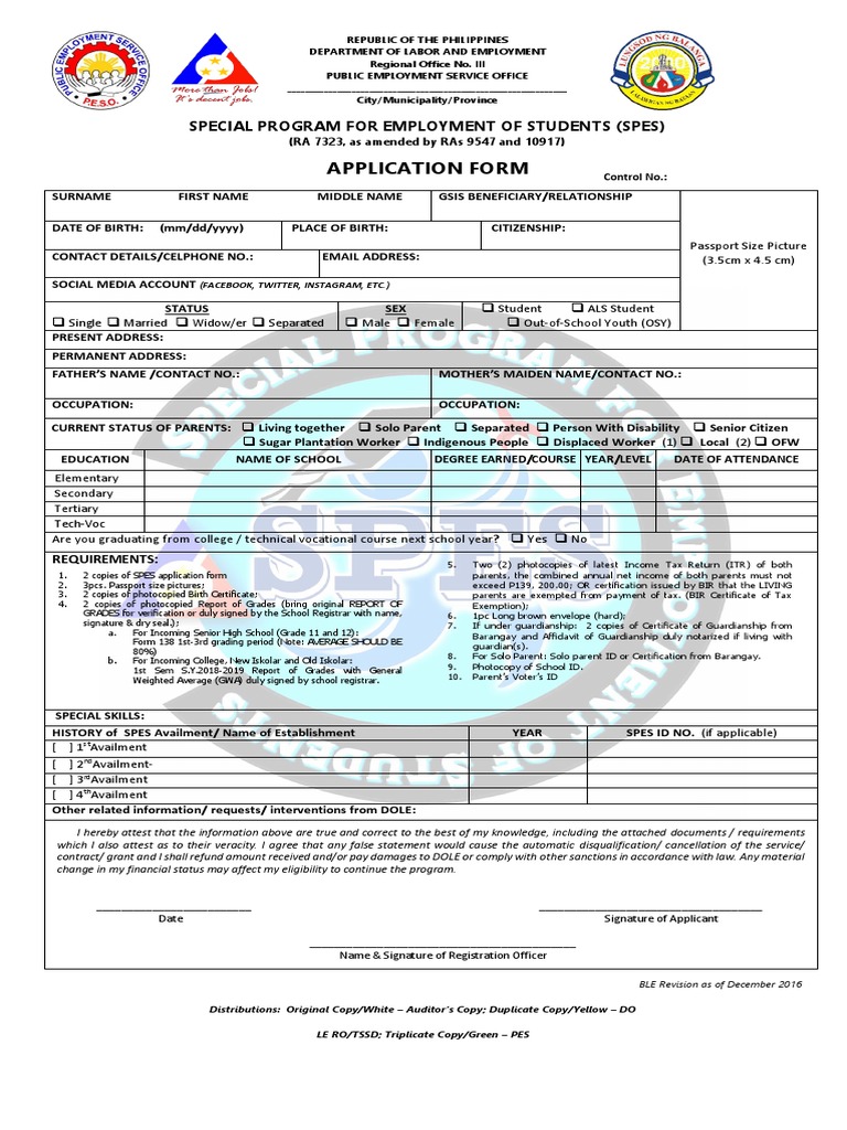 Spes Form 2019 | PDF | Employment | Government Information