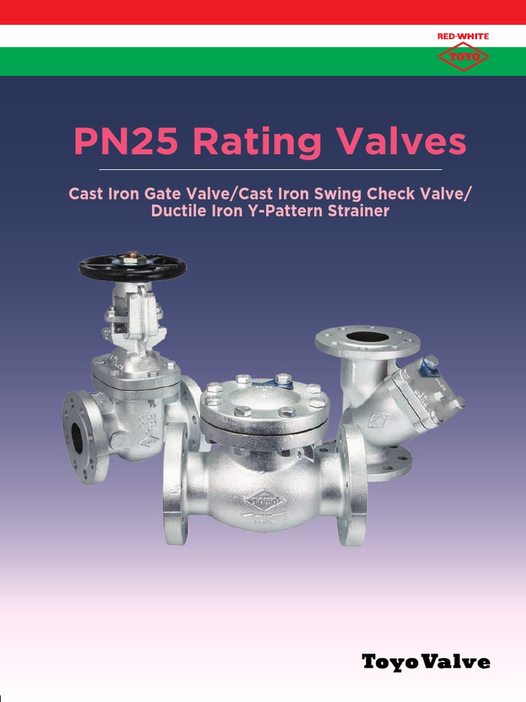PN25 Rating Valves: Cast Iron Gate Valve/Cast Iron Swing Check Valve ...