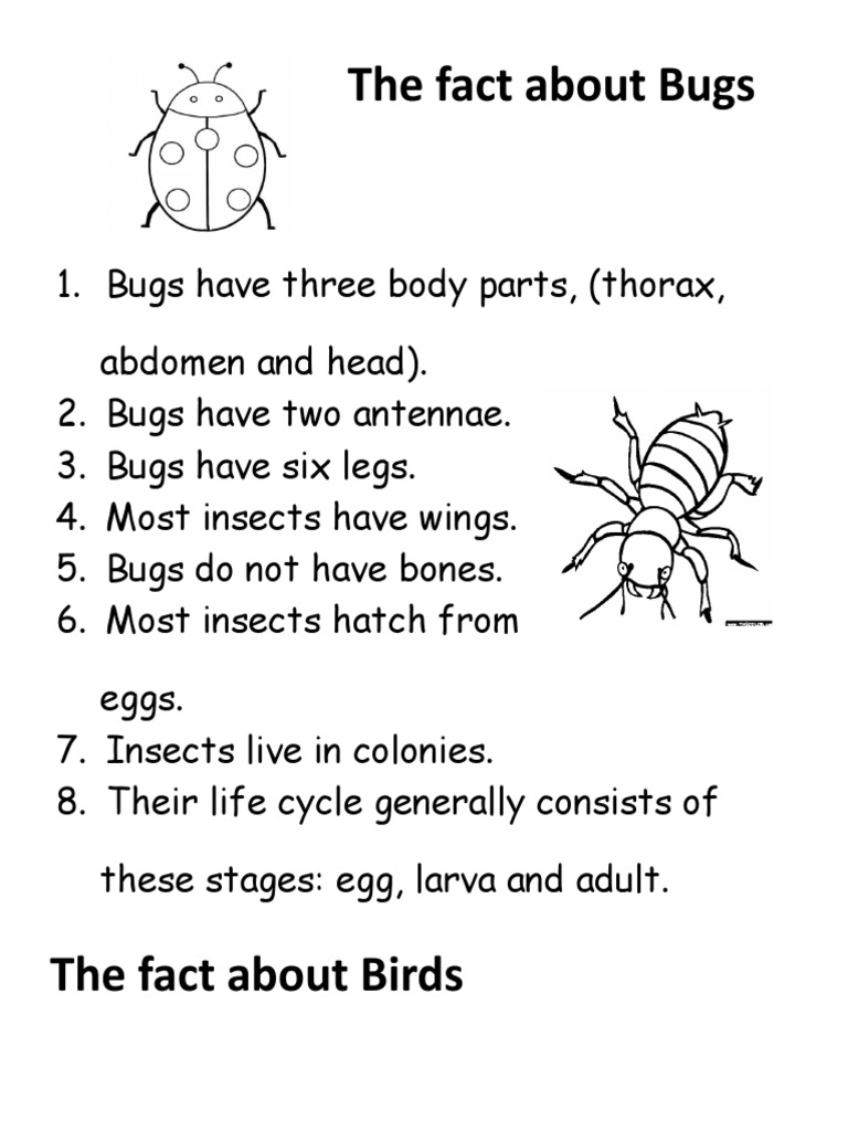 The Fact About Bugs | PDF