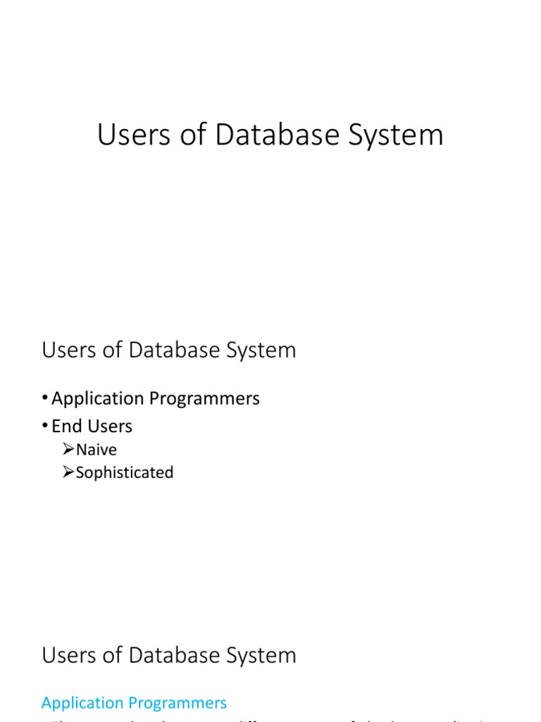 Users of Database System | PDF | Database Schema | Programmer
