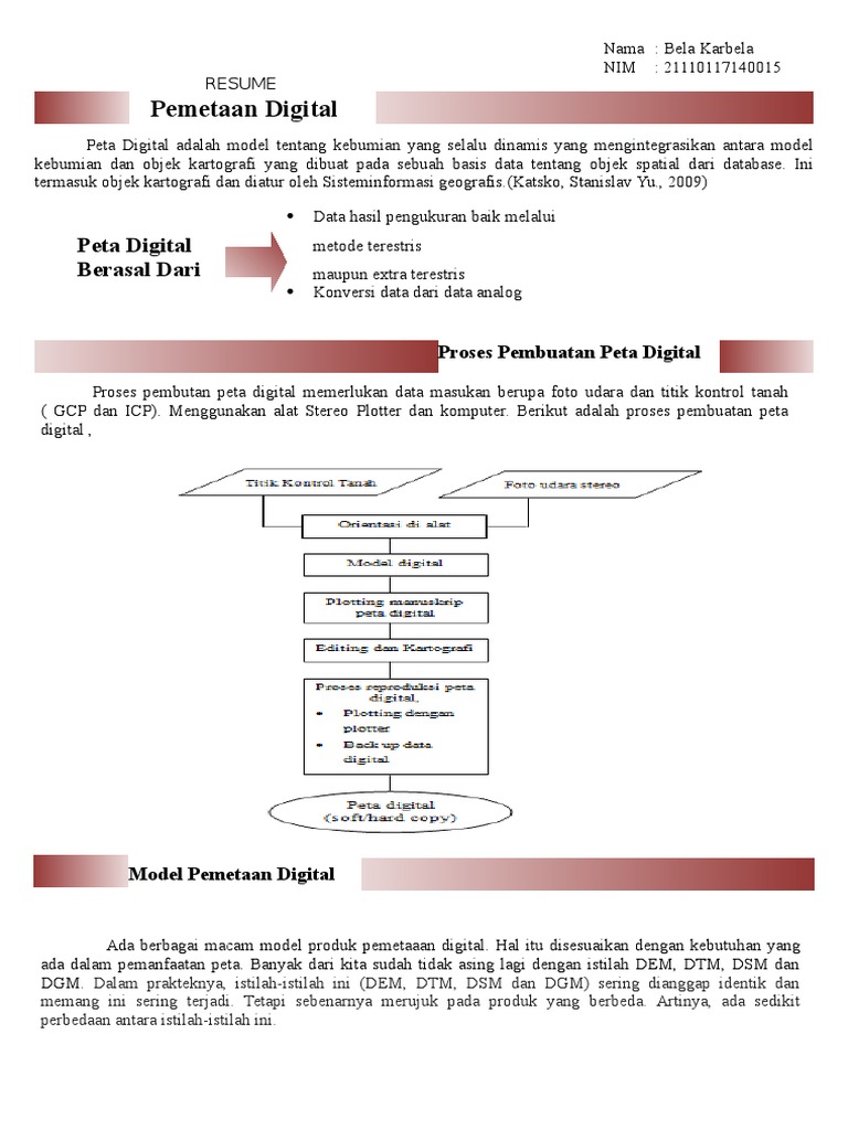 Pemetaan Digital, DEM DTM DSM DGM | PDF