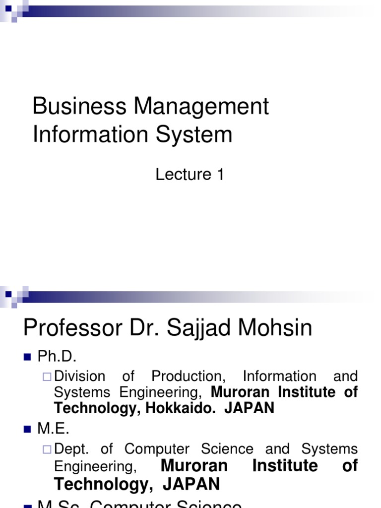 Business Management Information System | PDF | Decision Support System ...