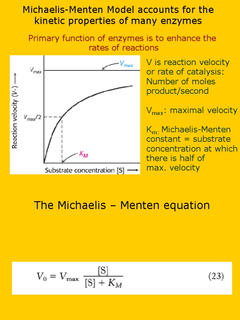 Understanding the Michaelis-Menten Model of Enzyme Kinetics | PDF ...