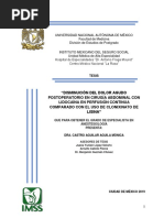 Torax LeÑoso | PDF
