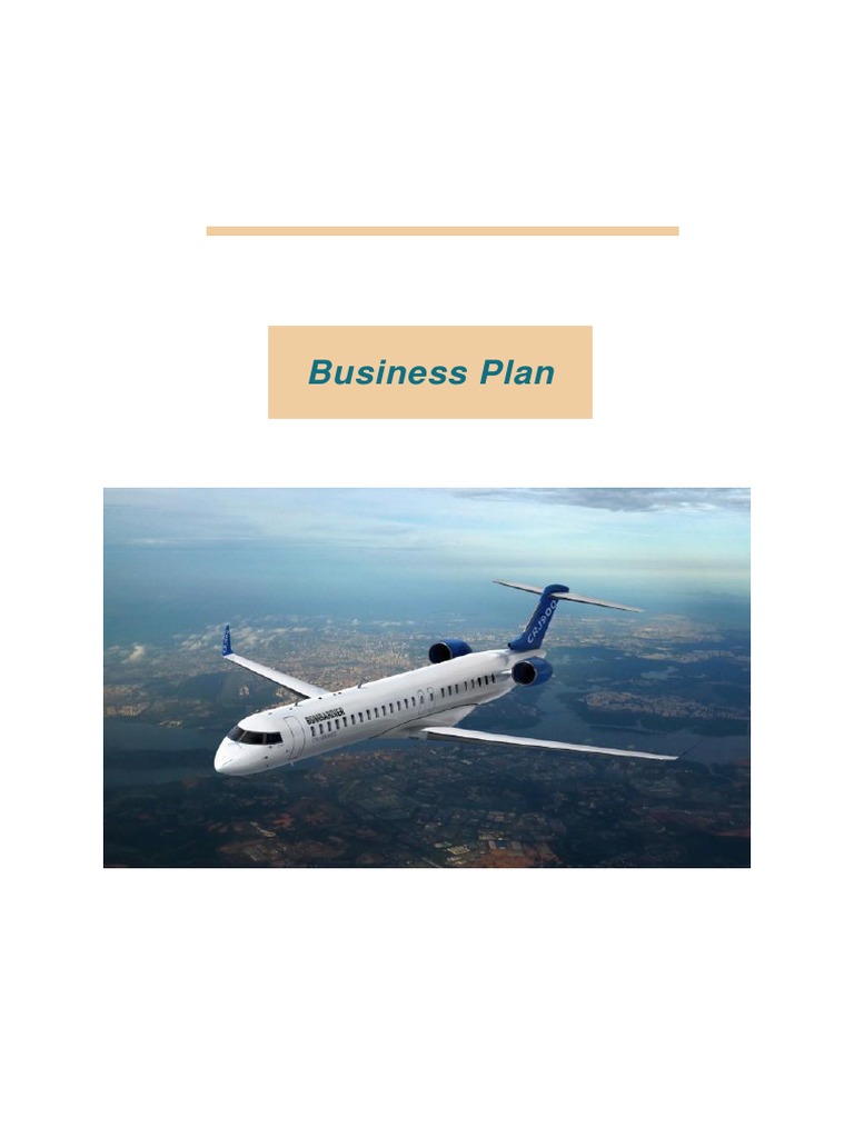 Professional Services: Business Plan | PDF | Aircraft | Industries