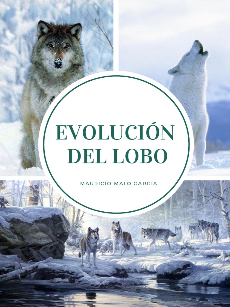 Evolución Del Lobo (Canis) | PDF | Canis | Canids