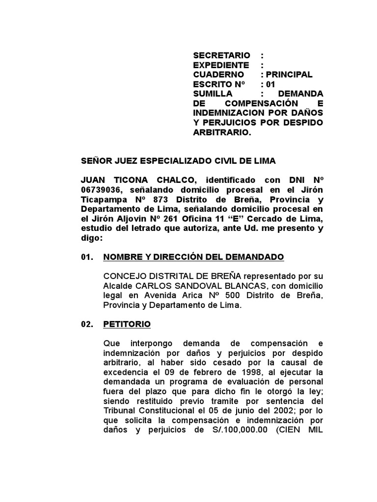 Demanda de Indemnizacion Por Daños y Perjuicios | Demanda judicial ...