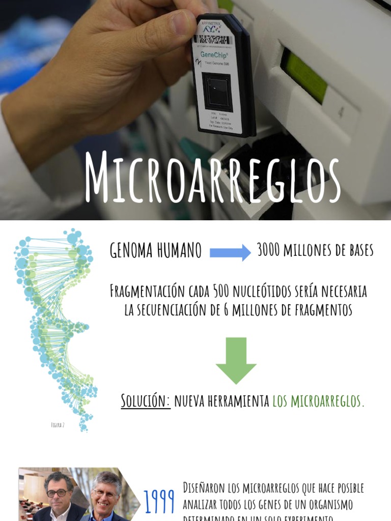Exposición Microarreglos | Chip de ADN | Gen