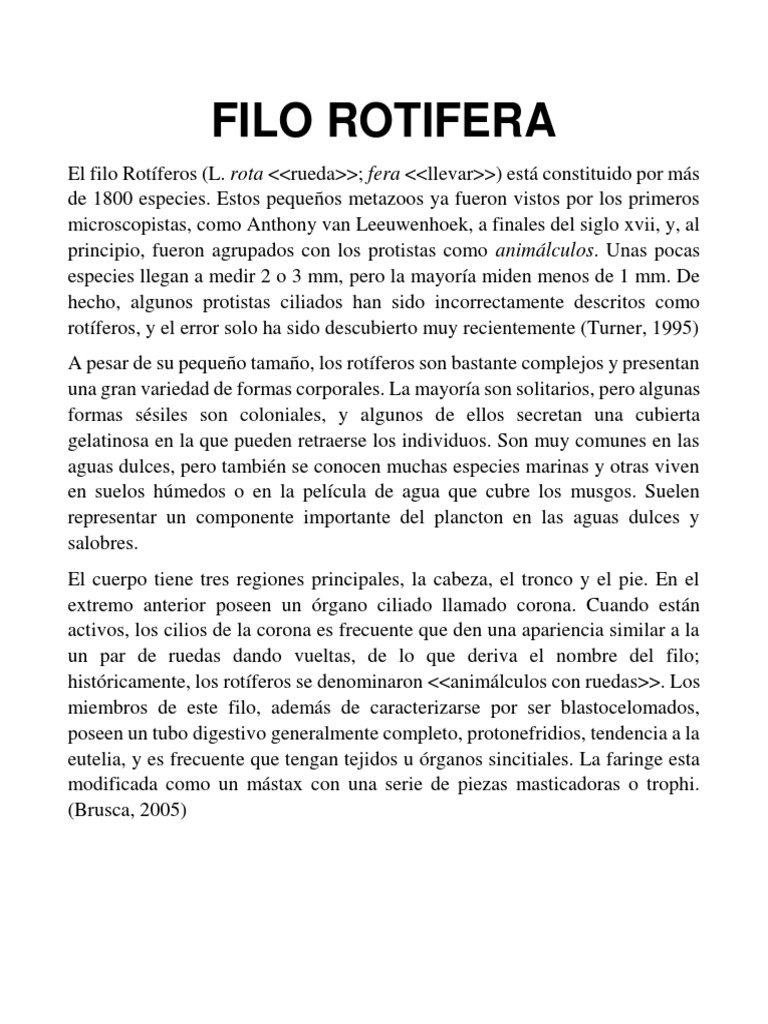 FILO ROTIFERA Info | PDF | Músculo | Biología