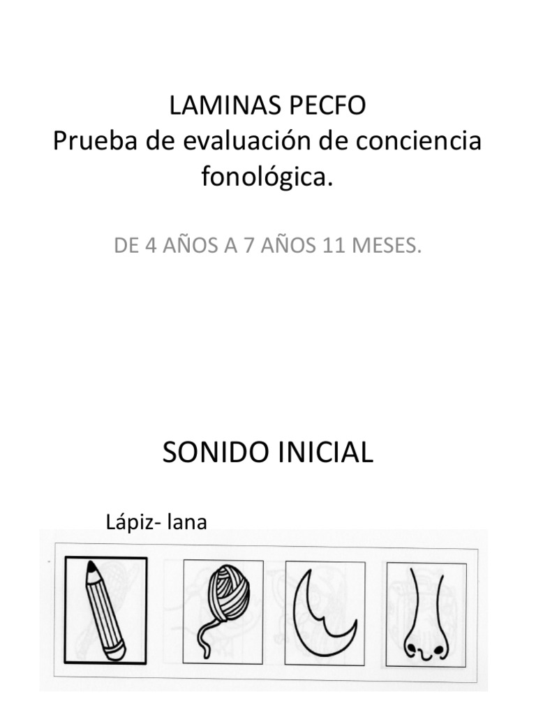 Laminas Pecfo | PDF