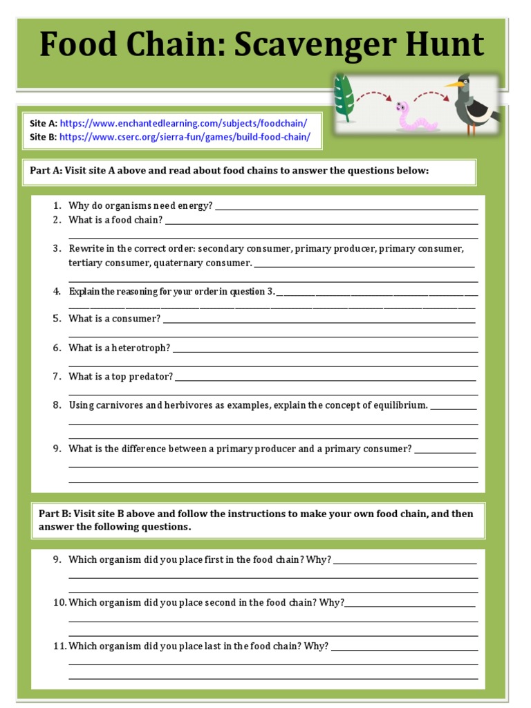 Scavenger Hunt | PDF | Herbivore | Organisms