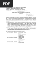 4.1 Repaso - Anatomia Del Torax | PDF | Tórax | Sistema esquelético