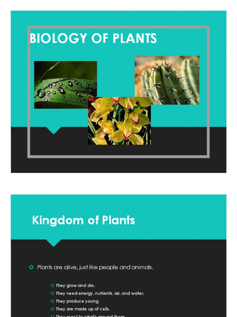 Biology of Plants Biology of Plants | PDF | Tissue (Biology) | Leaf