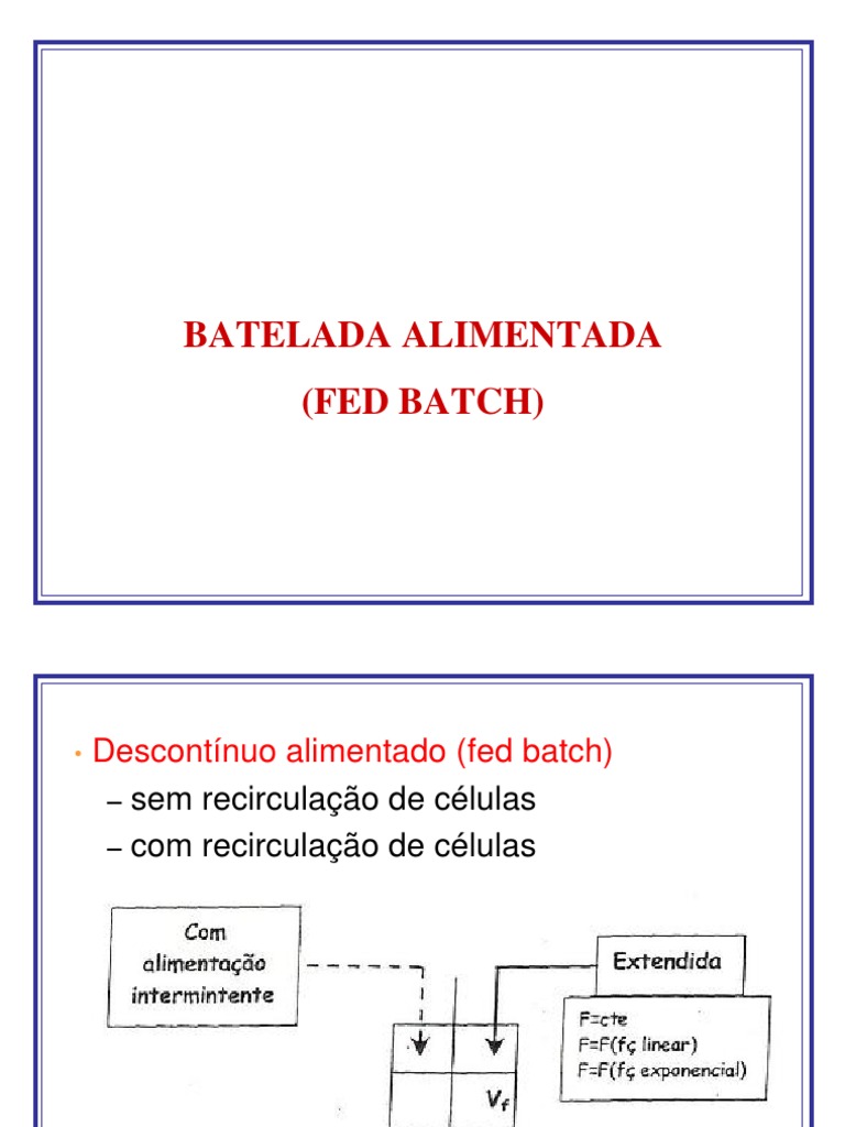 Batelada Alimentada | PDF | Reator químico | Enzima