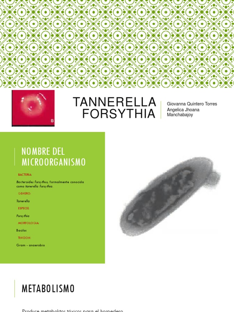 Tannerella forsythia y su virulencia | PDF | Ciencia y matemáticas
