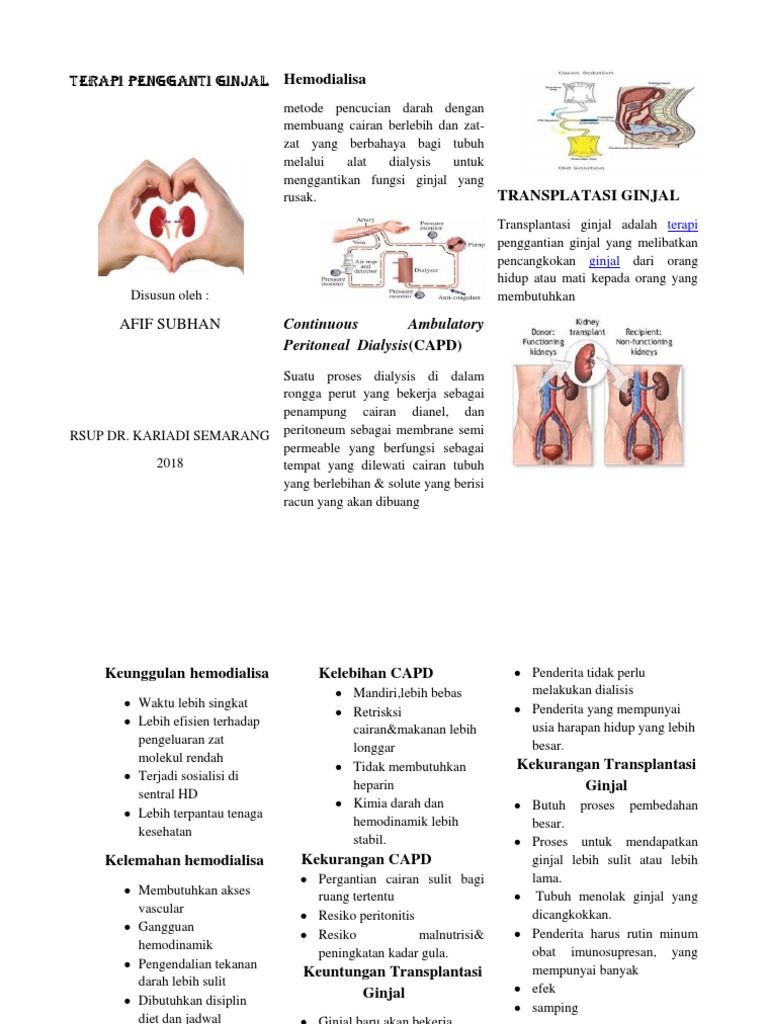 LEAFLET Terapi Pengganti Ginjal | PDF