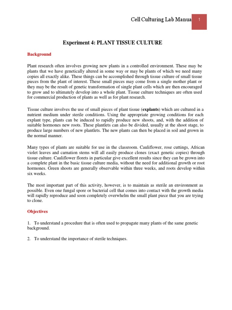Cell Culturing EXP 4 Plant Tissue Culture PDF | PDF | Cell Culture ...
