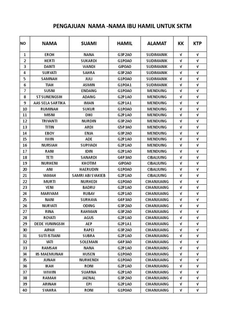 Data Ibu Hamil SKTM | PDF