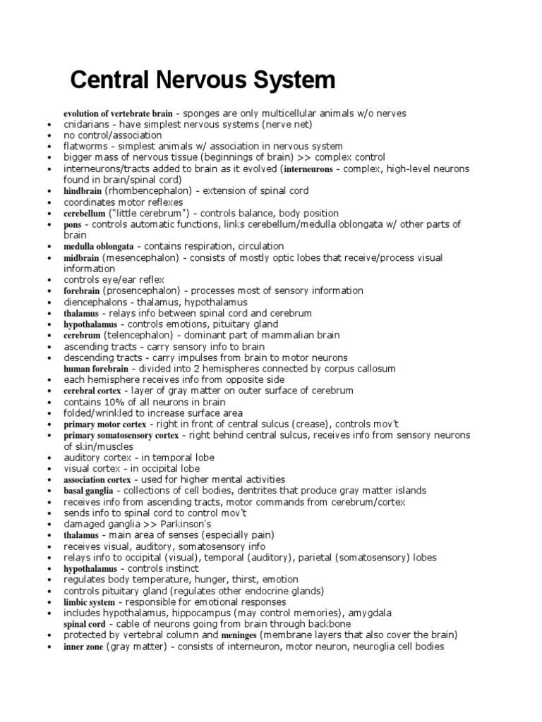 Central Nervous System Notes | Download Free PDF | Central Nervous ...