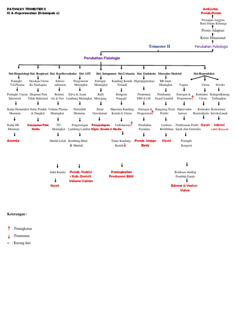 Pathway Kehamilan Trimester II | PDF
