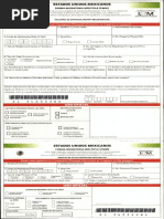 Formato Sam | PDF | Gobierno | Gobierno y personalidad