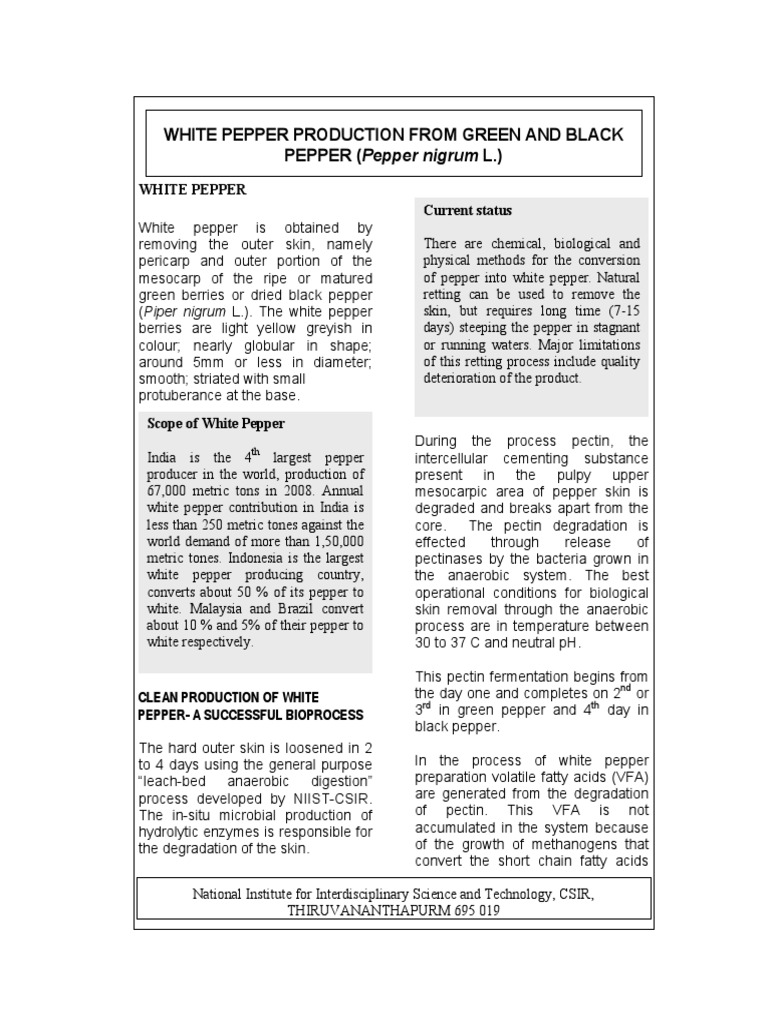 White Pepper PDF | PDF | Black Pepper | Nature