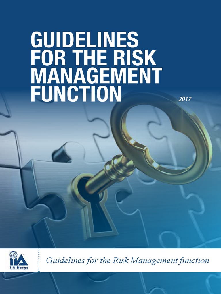 2017 Guidance For The Risk Management Function | PDF | Risk Management ...