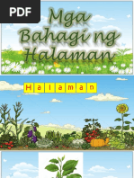 GRADE 3 SCIENCE MELC Based Iba't Ibang Bahagi NG Halaman by Sir Ray Marasigan | PDF