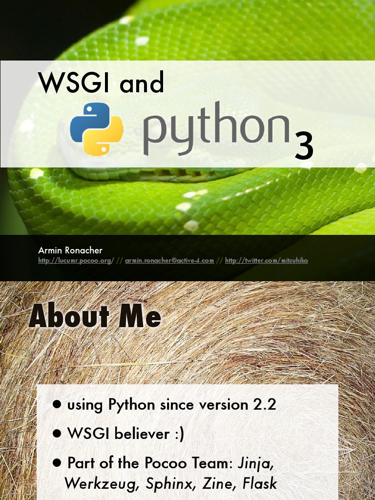 Wsgi PDF | PDF | String (Computer Science) | Hypertext Transfer Protocol