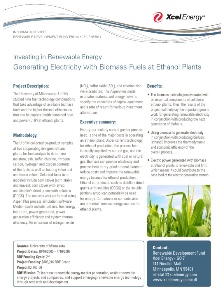 BiomassFuelsEthanolfactsheet10!01!206RDFBIOFuels Is | PDF | Biomass ...