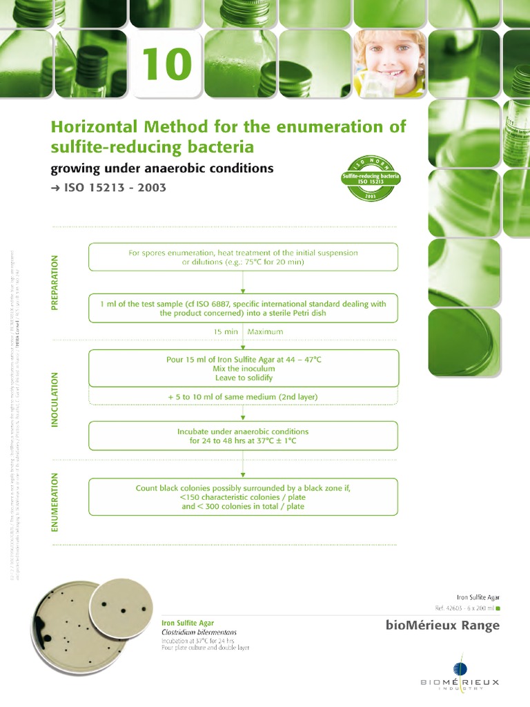 Iron Sulfite Agar Protocol | PDF