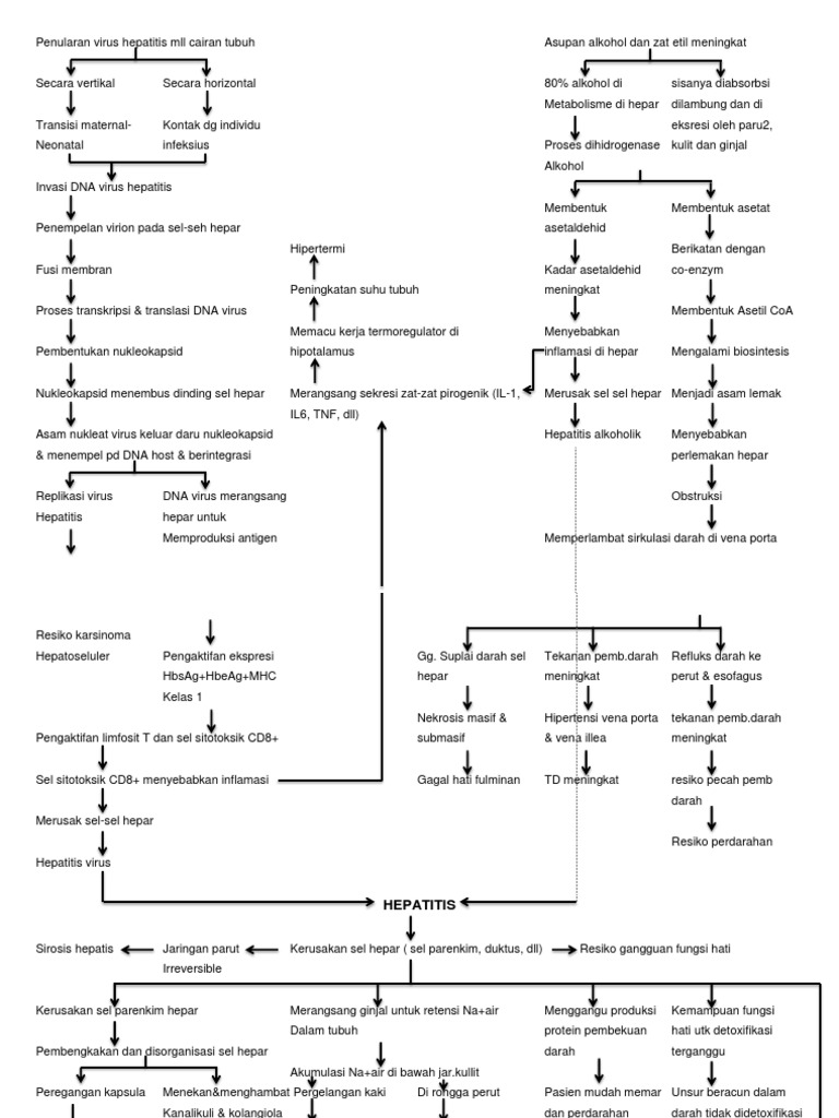 Patofisiologi Hepatitis | PDF