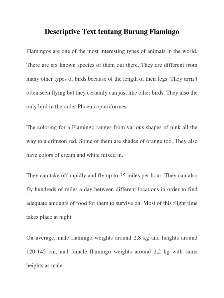 Descriptive Text Tentang Burung Flamingo | PDF | Crocodile | Cats