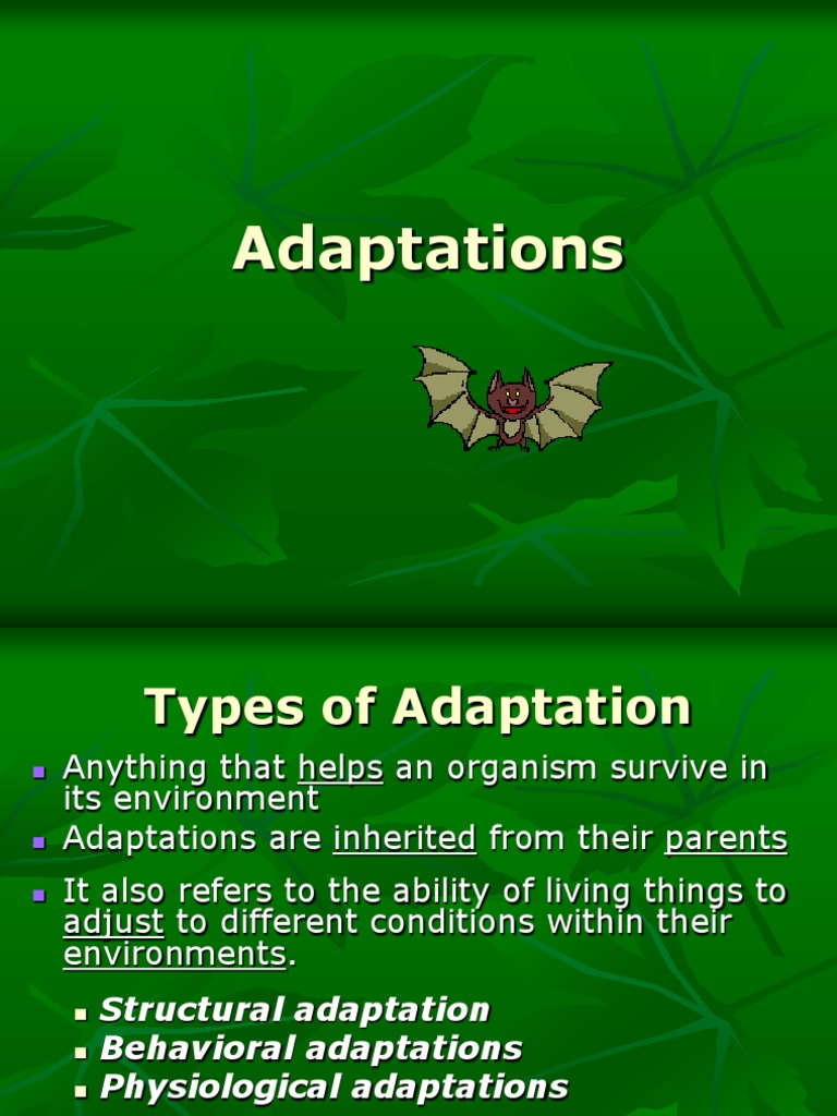 Evolutionary Adaptations | PDF | Adaptation | Genetics