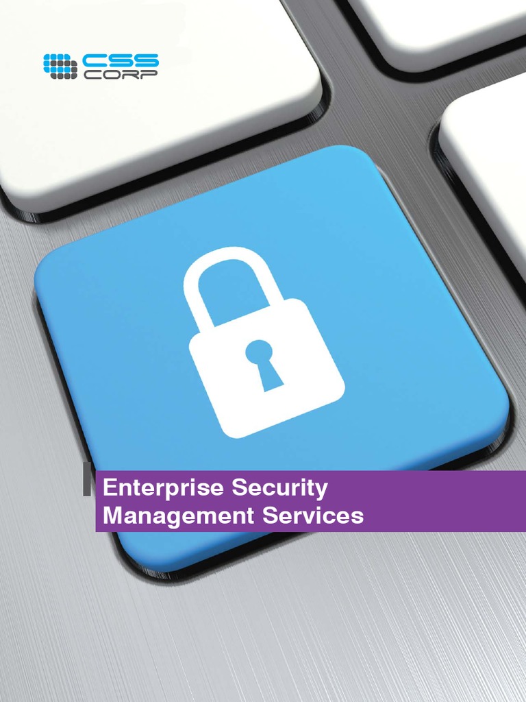 BR Enterprise Security MGMT | Download Free PDF | Computer Security | Security