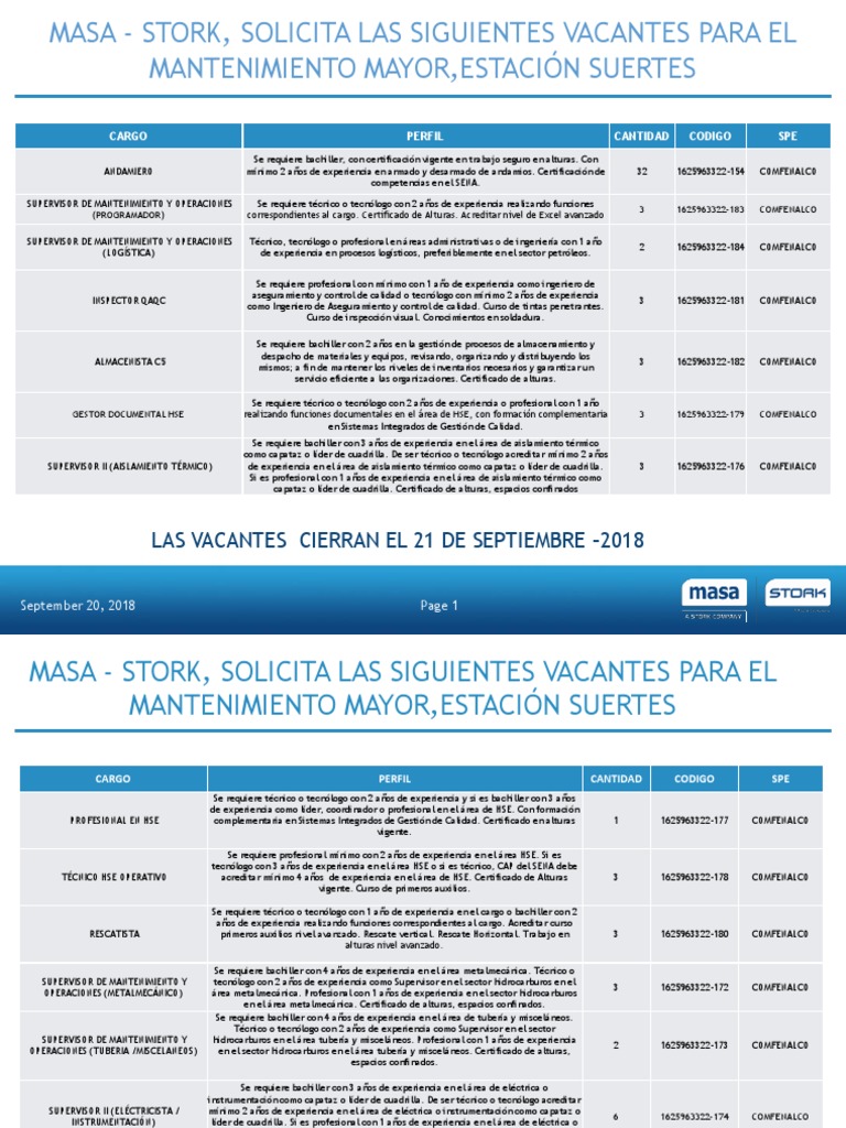 Pubicación Vacantes MASA-STORK | PDF | Logística | Science