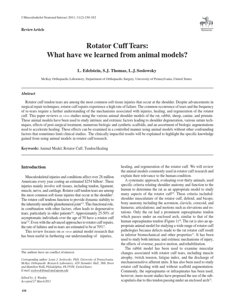 Rotator Cuff Tears: What Have We Learned From Animal Models? | PDF ...