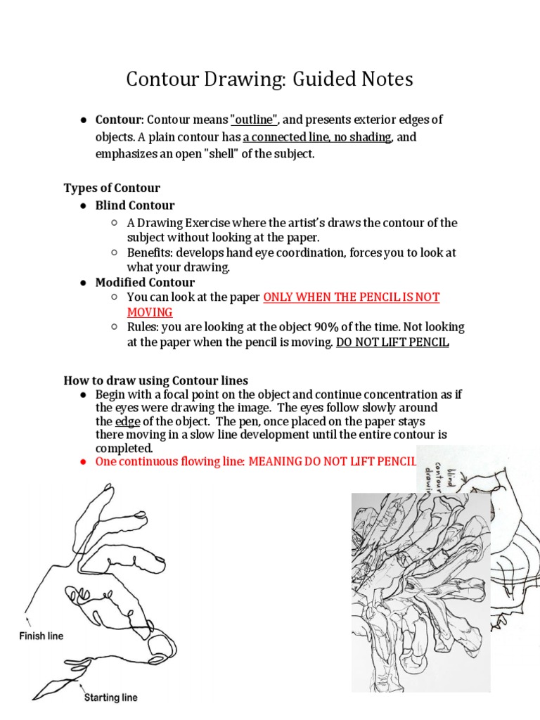 Contour Drawing Guided Notes | PDF