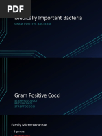 Gram Positive Cocci Flow Chart | PDF | Streptococcus | Prokaryote