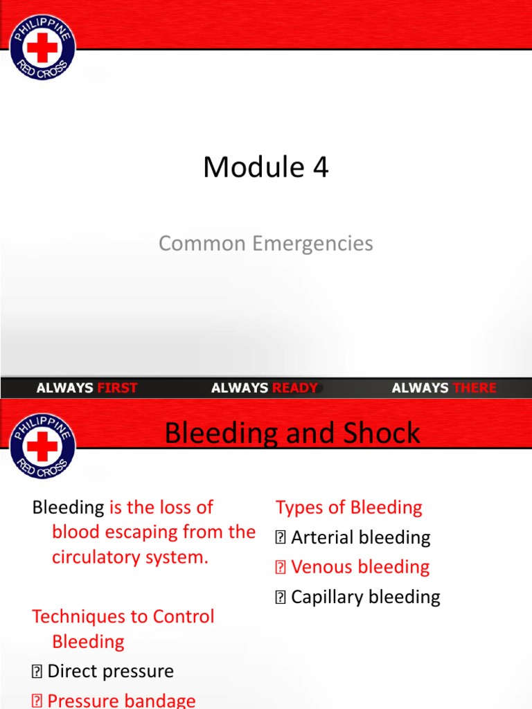 Common Emergencies and Injuries: A Visual Guide to Bleeding, Shock ...