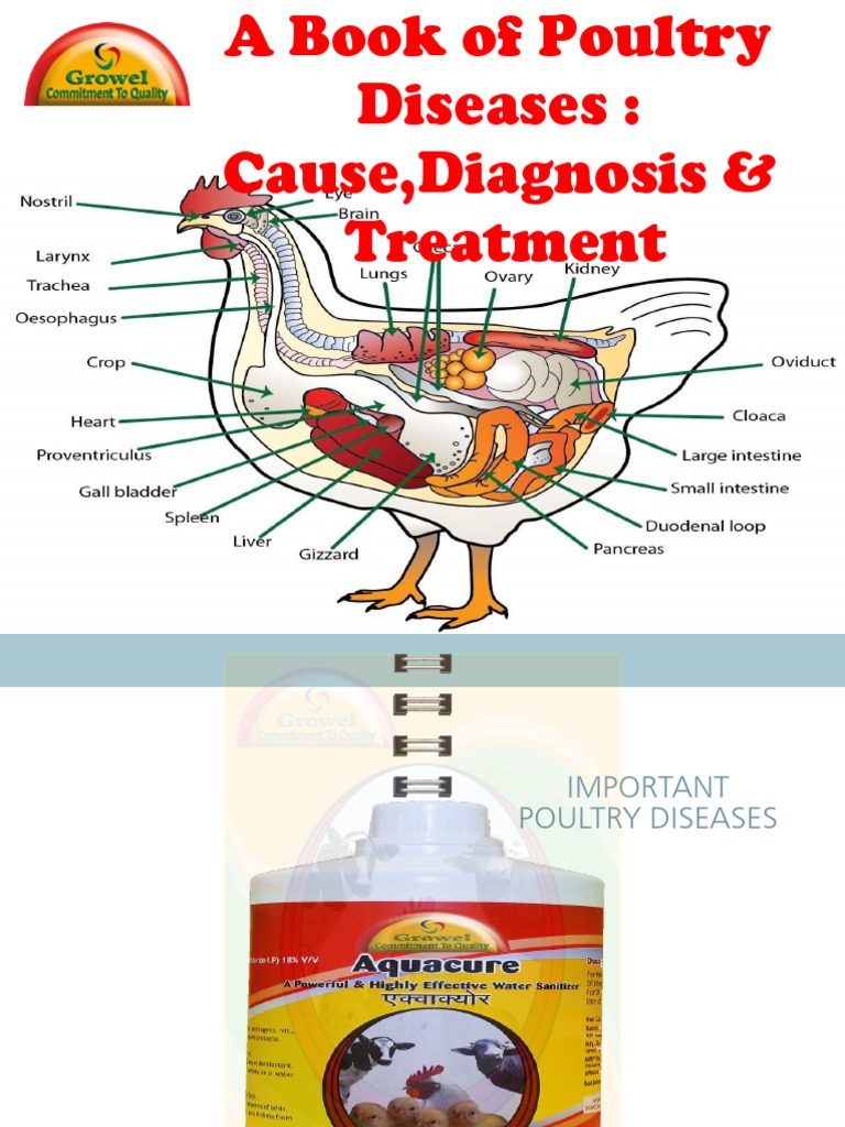 Poultry Diseases - Cause, Diagnosis, Control & Treatment PDF | PDF ...
