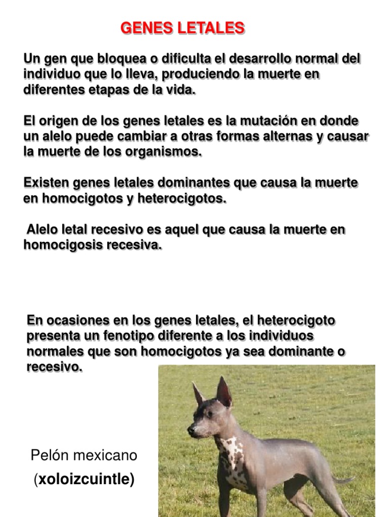 5 Genes Letales | PDF | Ciencia y matemáticas