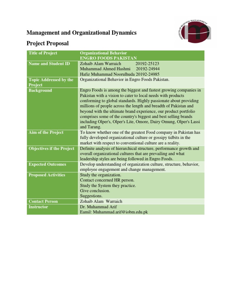 Project Proposal Mangement and Organizational Dynamics | PDF ...