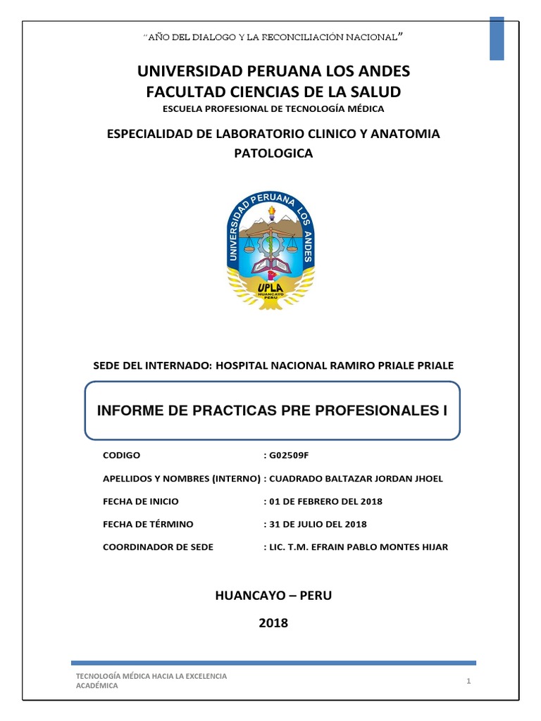 Informe de Practicas Pre Profesionales.docx | Hospital | Perú