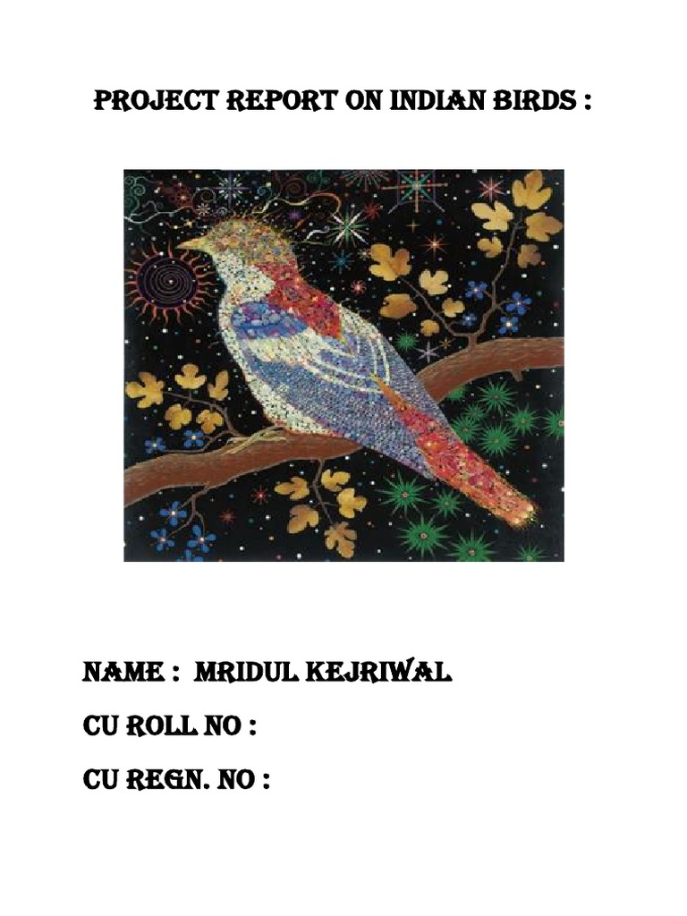 Project Report On Indian Birds | PDF | Birds | Dinosaurs