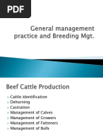(PDF) Layers Feeding Guide, Growth & Weight Chart - Livestocking | PDF ...